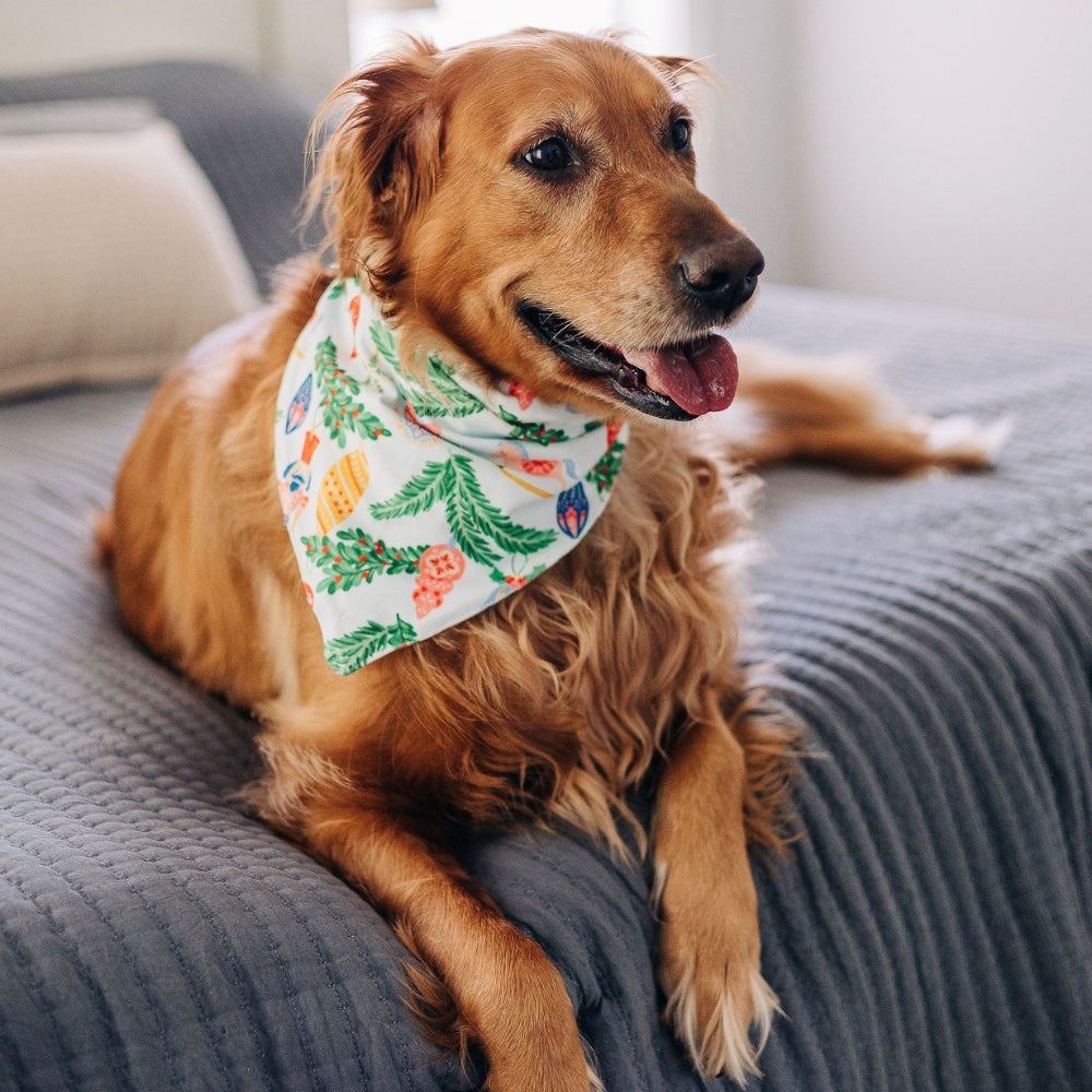 Nutcracker - Pet Bandana Holiday Lounge – Sugar Bee Clothing